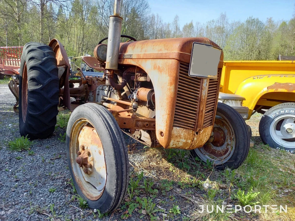 Ferguson TED 20 Grålle